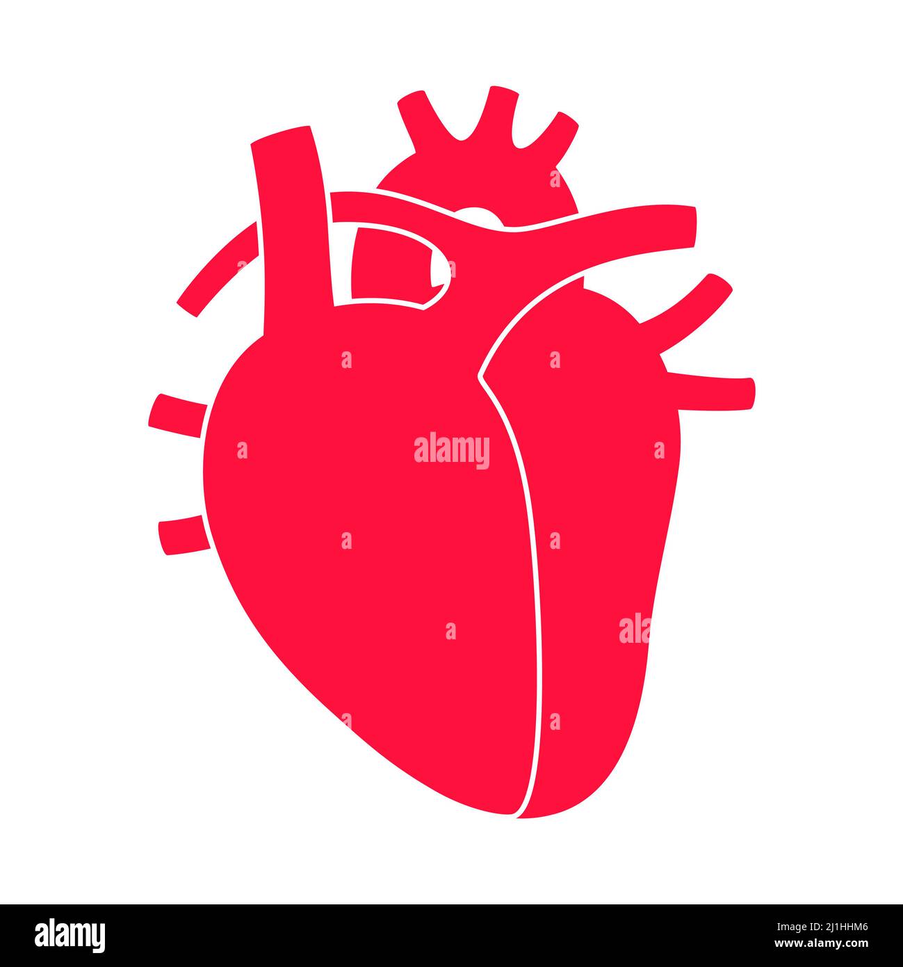 Human heart, illustration Stock Photo - Alamy