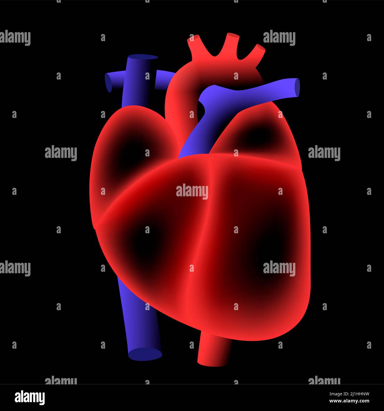 Human heart, illustration Stock Photo - Alamy