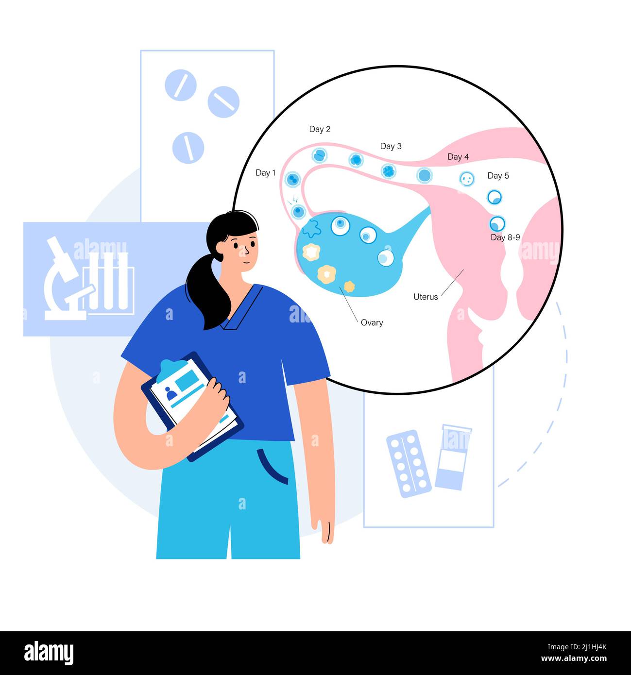 Female fertility, conceptual illustration Stock Photo - Alamy