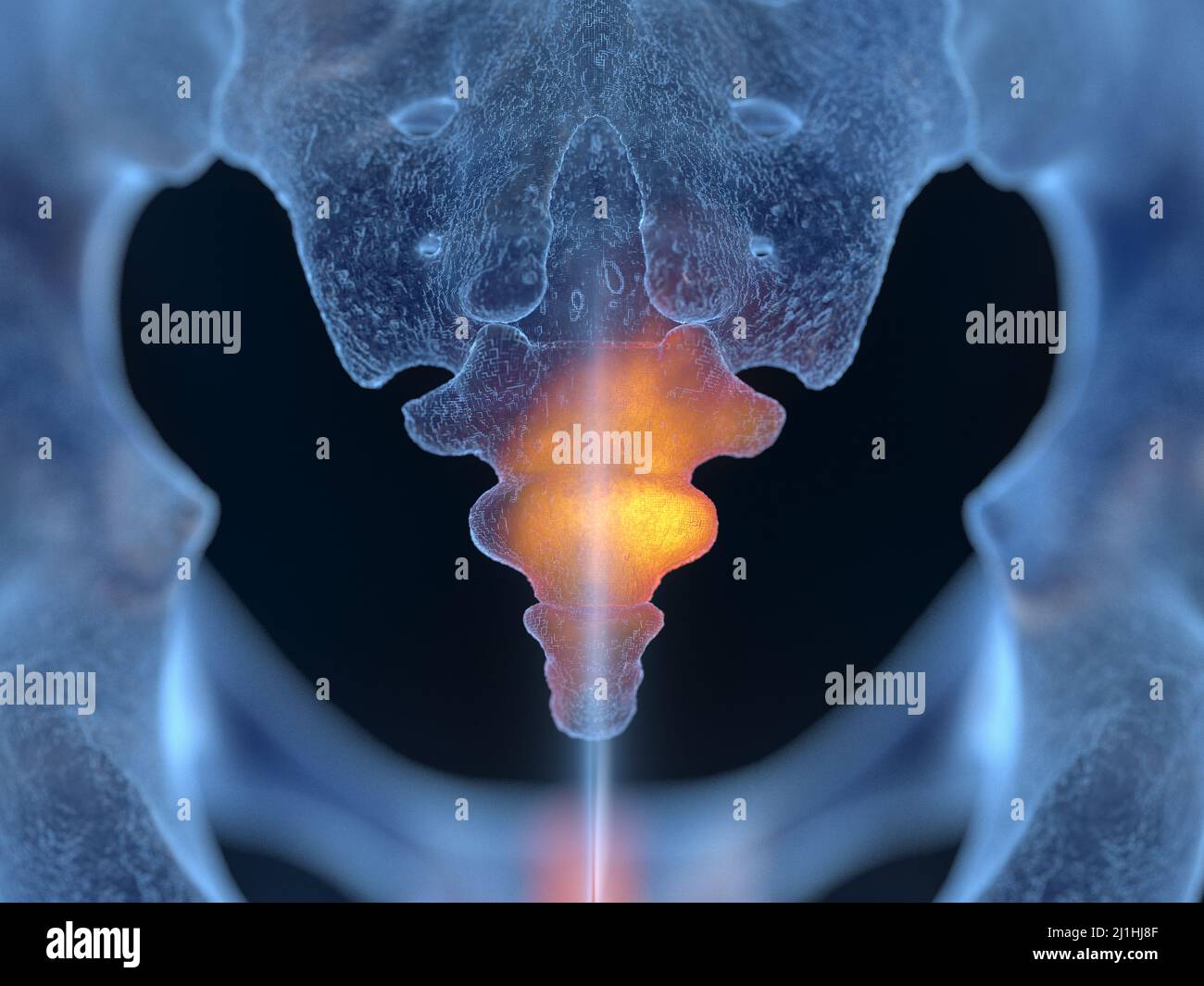 Inflamed coccyx hi-res stock photography and images - Alamy