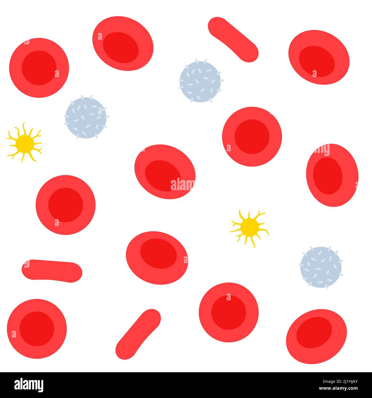 Blood cells, illustration Stock Photo - Alamy