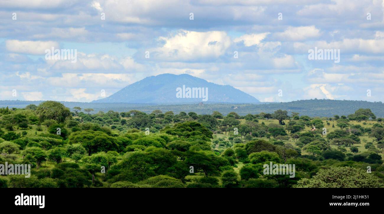 African savanna rain hi-res stock photography and images - Alamy