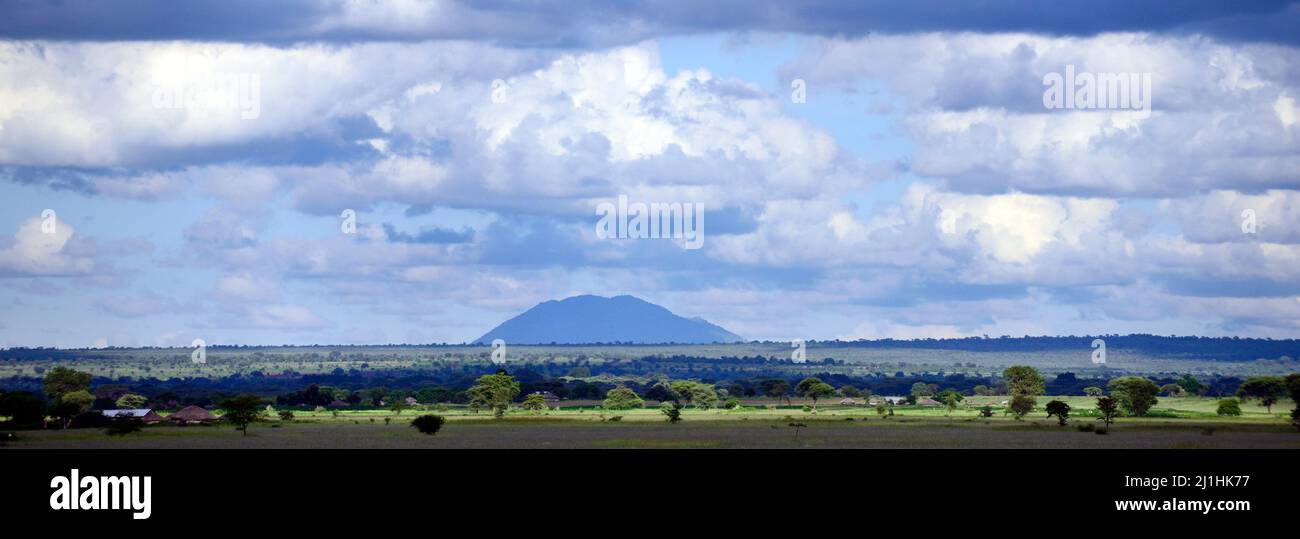 African savanna rain hi-res stock photography and images - Alamy