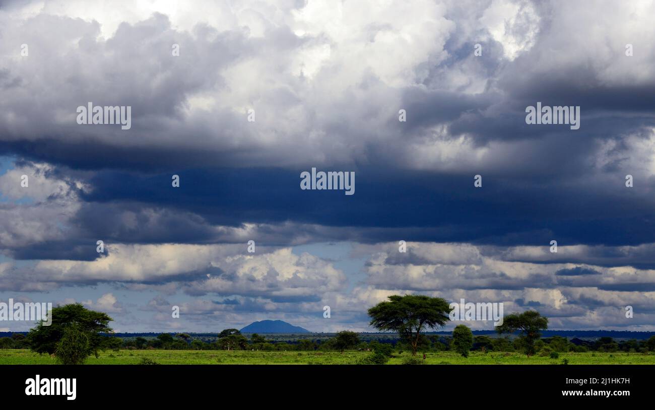 Savanna plains hi-res stock photography and images - Alamy