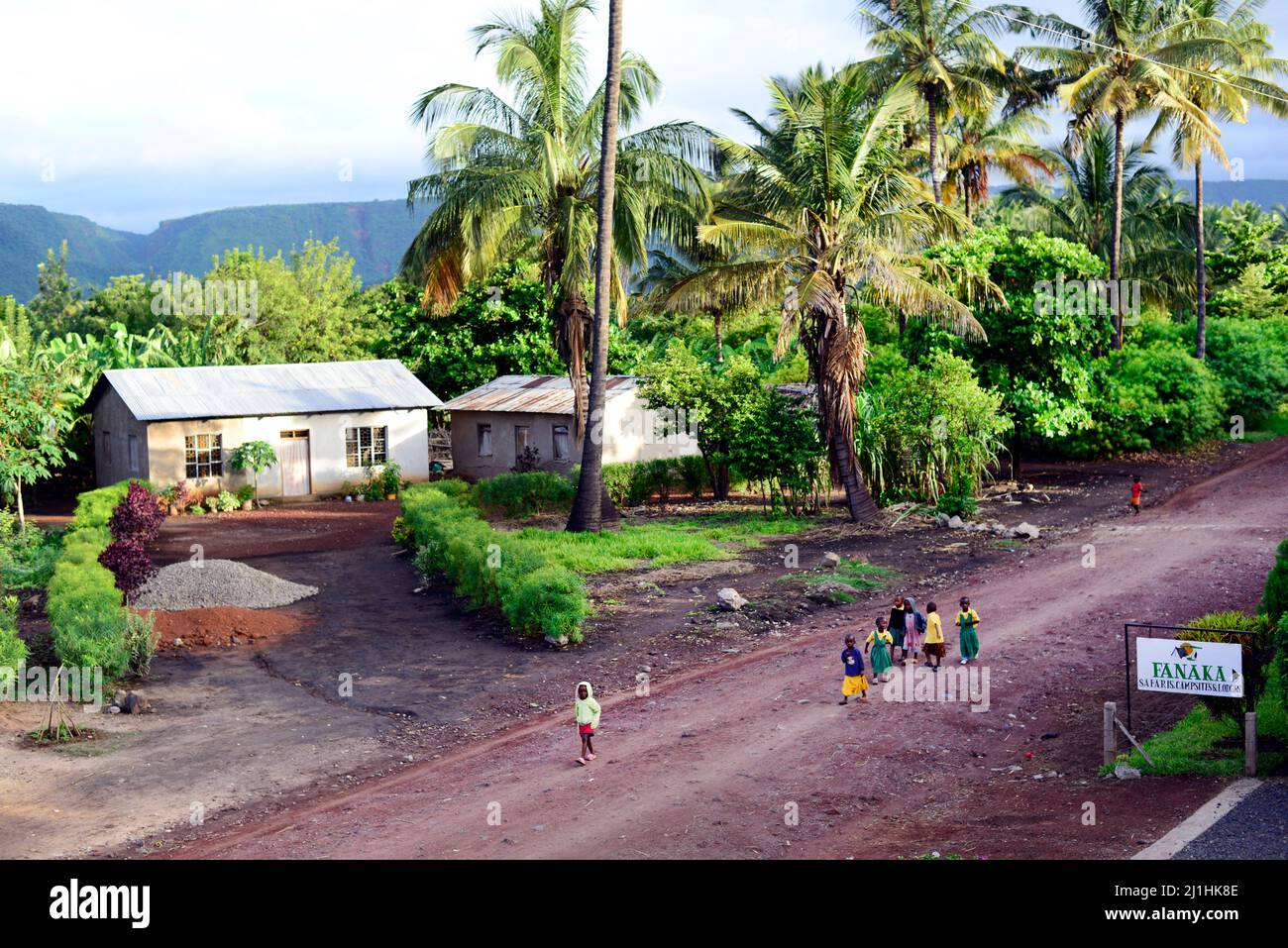 Cute Tanzanian children on their way to primary school in Mto Wa Mbu ...