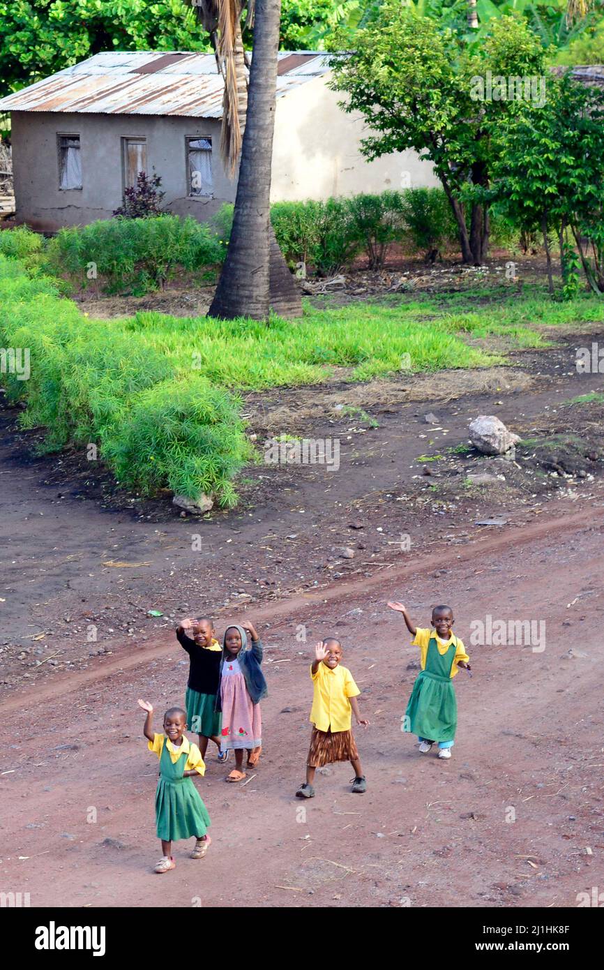 Cute Tanzanian children on their way to primary school in Mto Wa Mbu ...