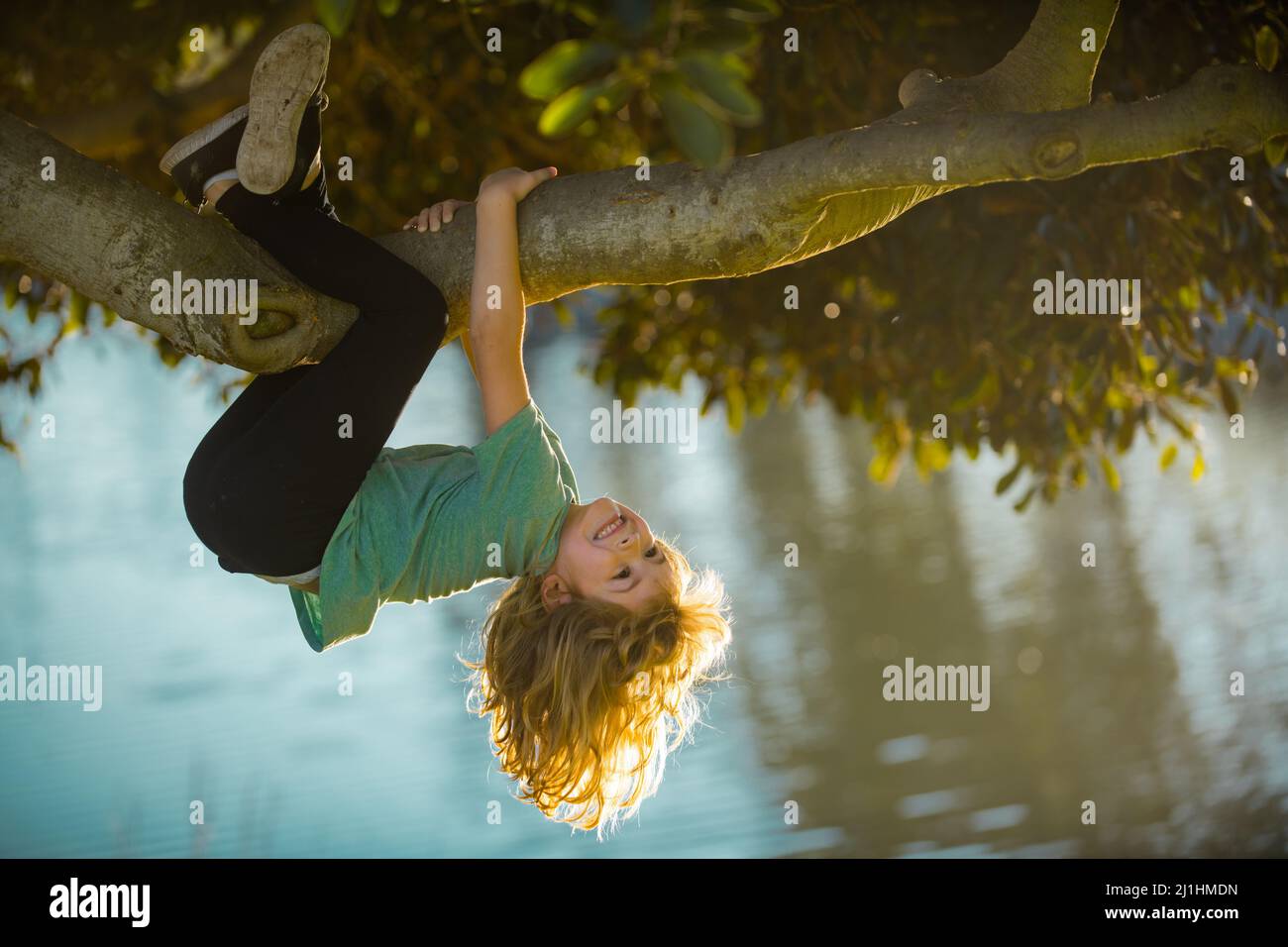 Child boy climbing high tree in the summer park. Portrait of cute kid ...