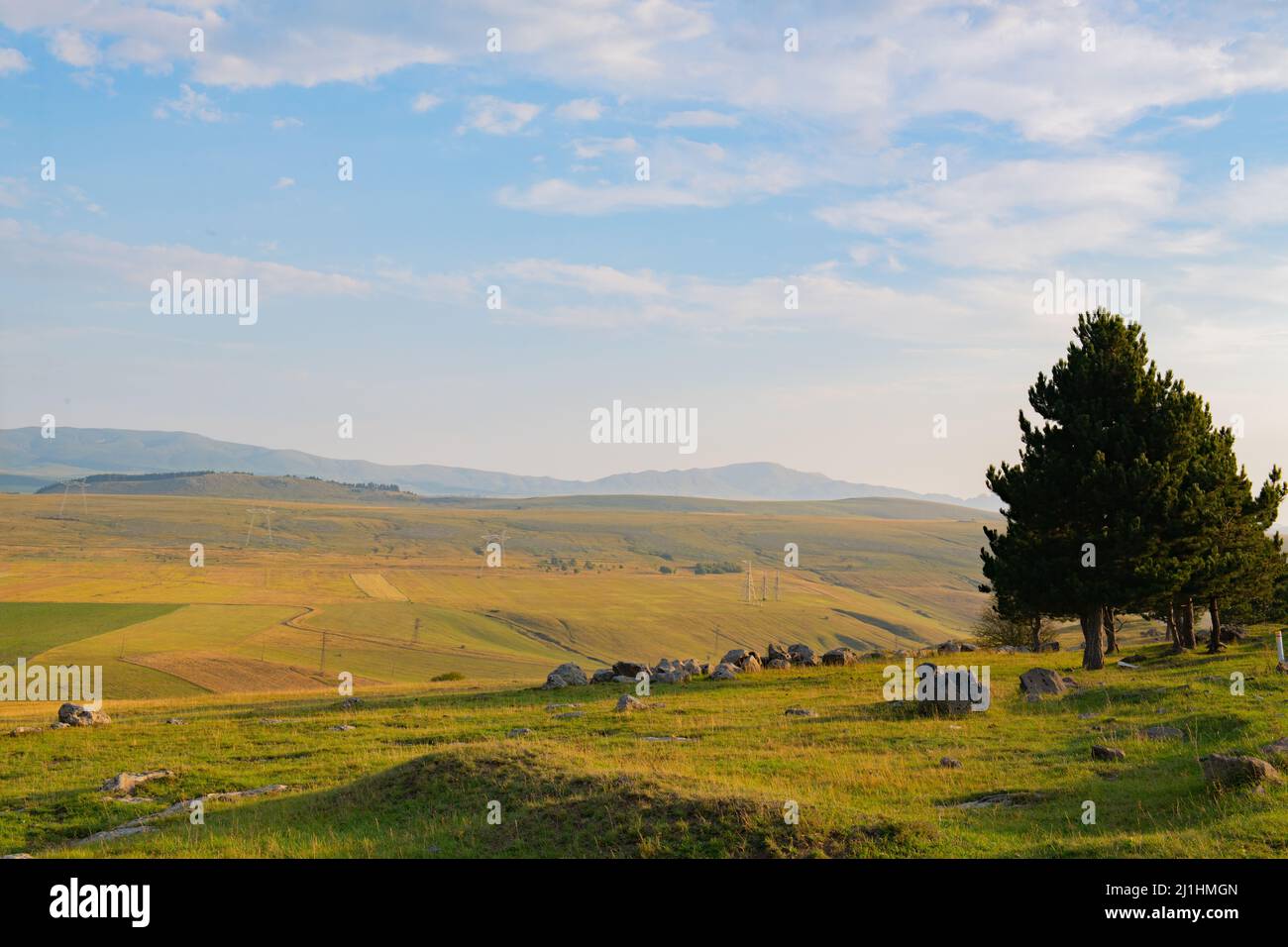 Grass field birds eye view hi-res stock photography and images - Alamy