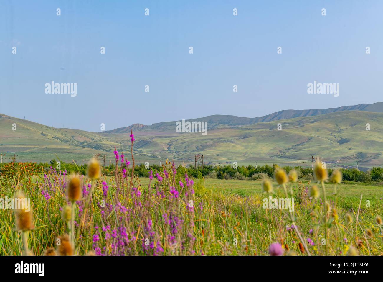 beautiful landscapes of nature in georgia in summer Stock Photo - Alamy