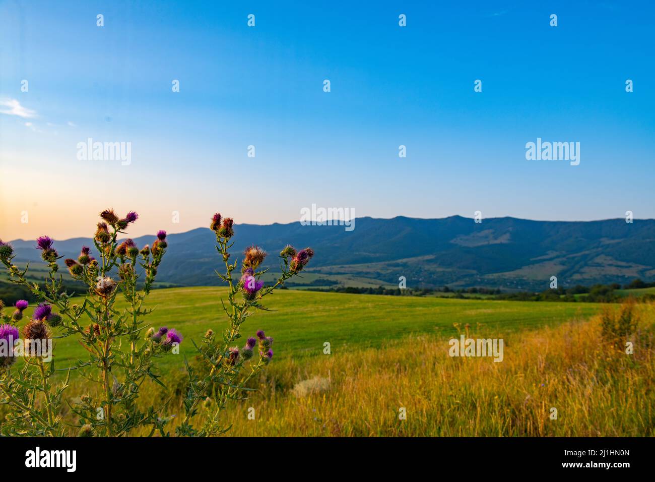 picturesque fields and mountains in georgia in summer Stock Photo - Alamy
