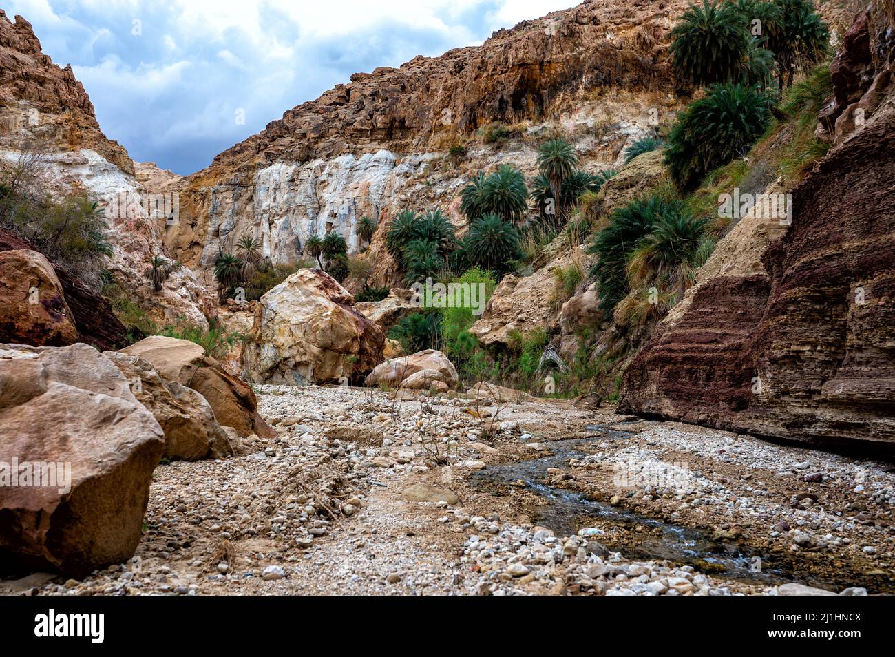 Rocky gorge of the Wadi Attun near the Dead Sea, Moab Plateau, Jordan ...