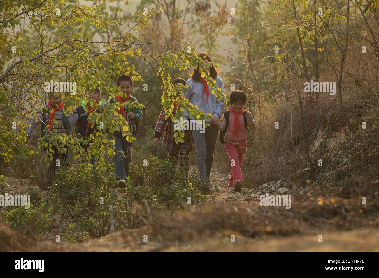 Teacher and student outdoor activities Stock Photo - Alamy