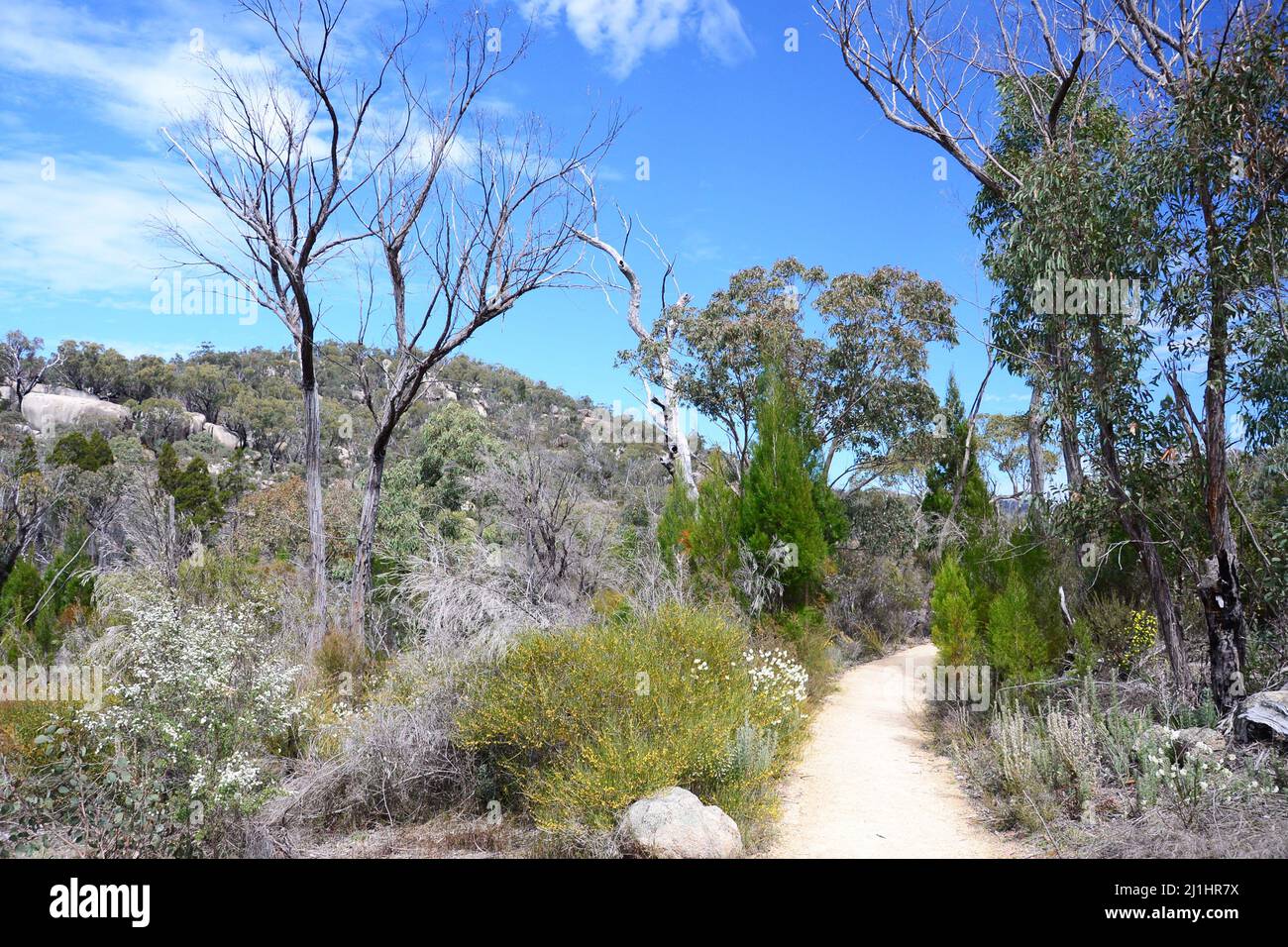 Girraween National Park, Queensland, Australia Stock Photo - Alamy