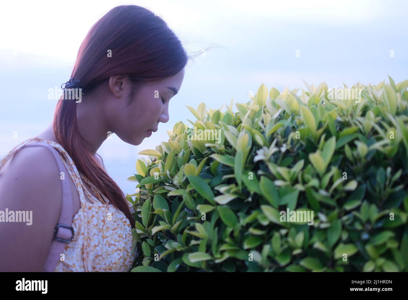 Big bush woman hi-res stock photography and images - Alamy