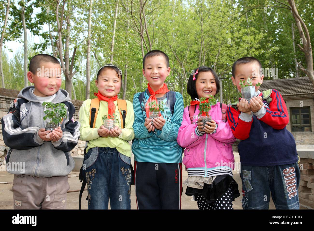 School plant sapling hi-res stock photography and images - Alamy