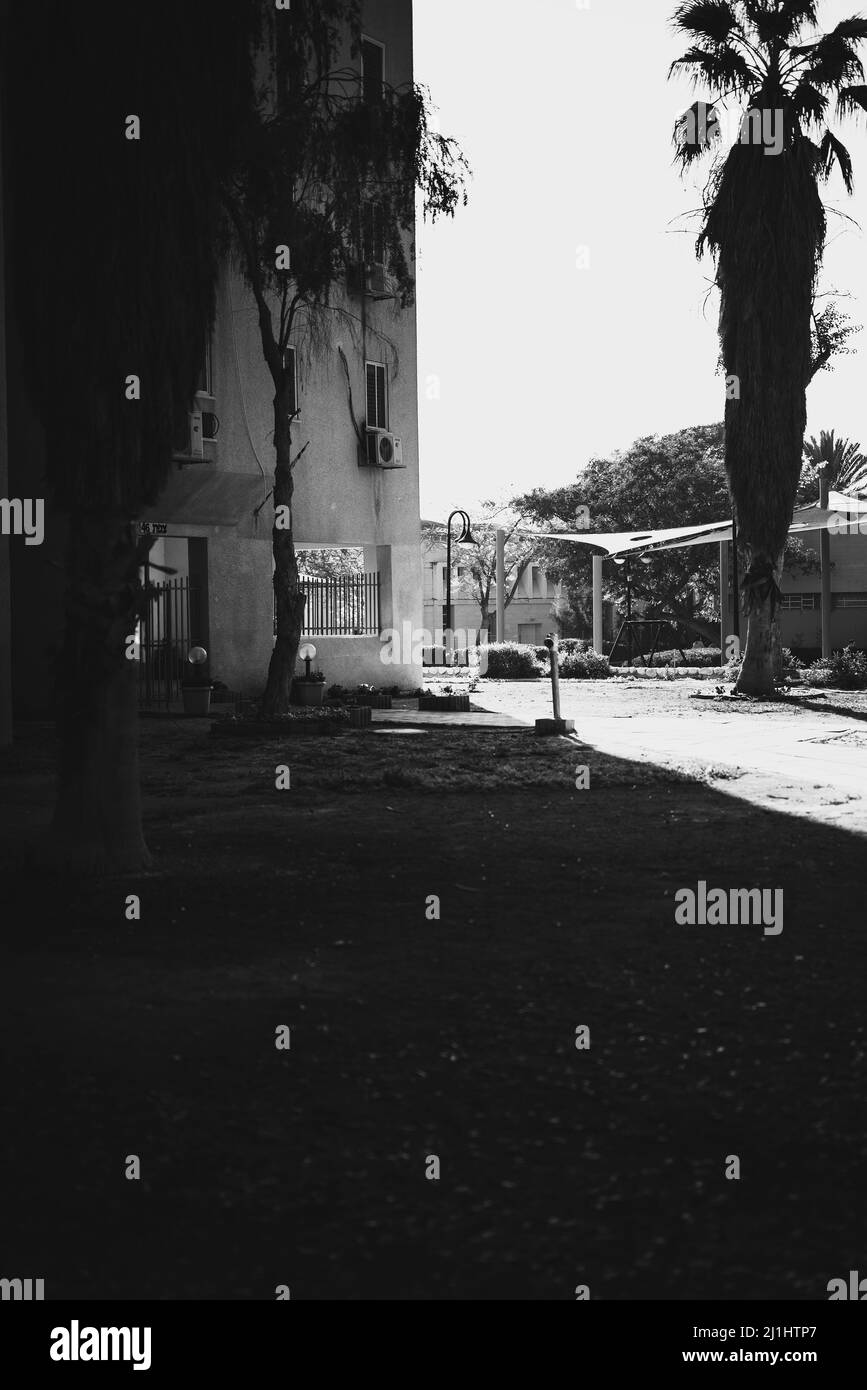 tree and building Stock Photo - Alamy