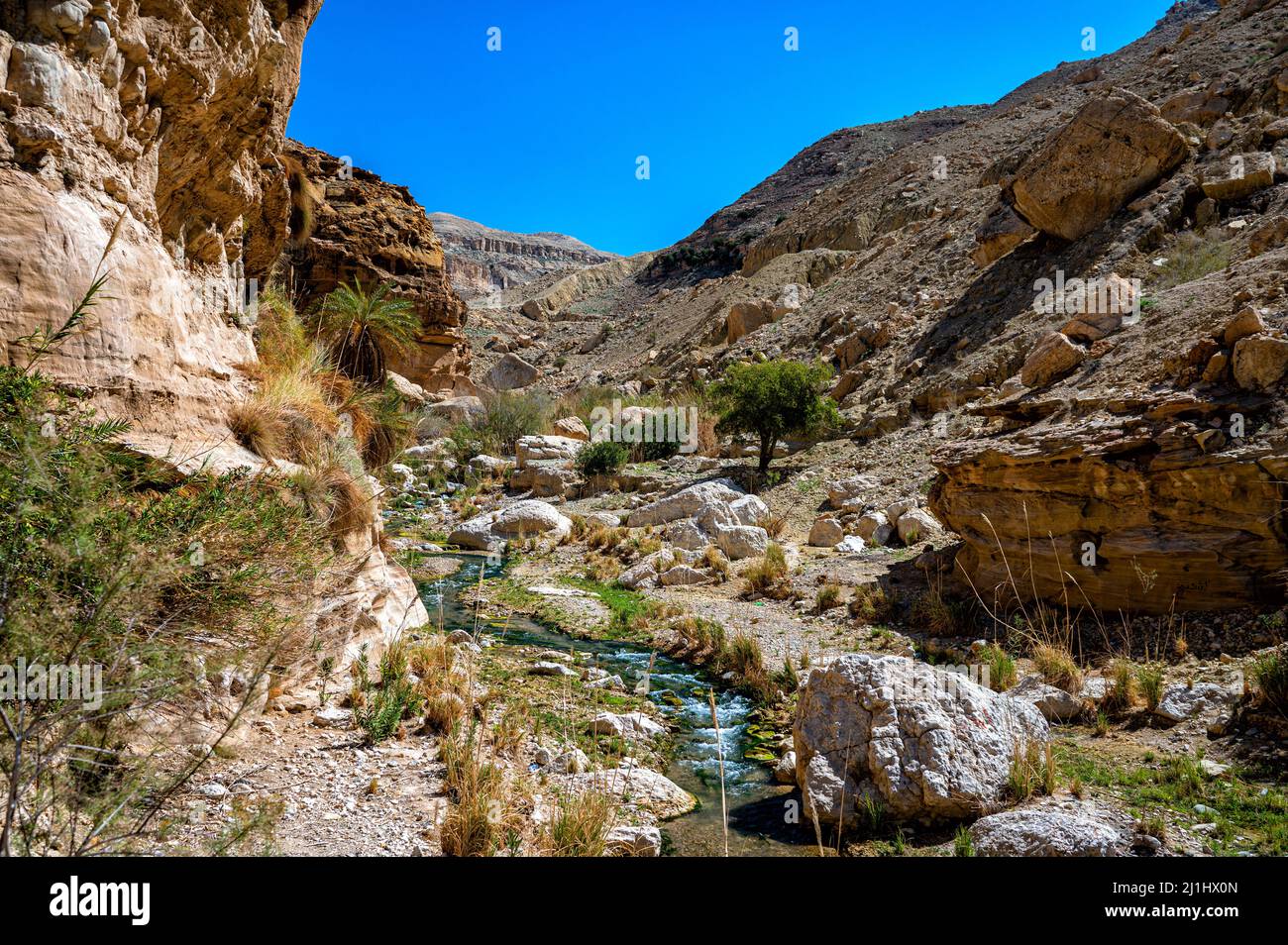 Wadi Bin Hammad, Moab Plateau, Jordan Stock Photo - Alamy