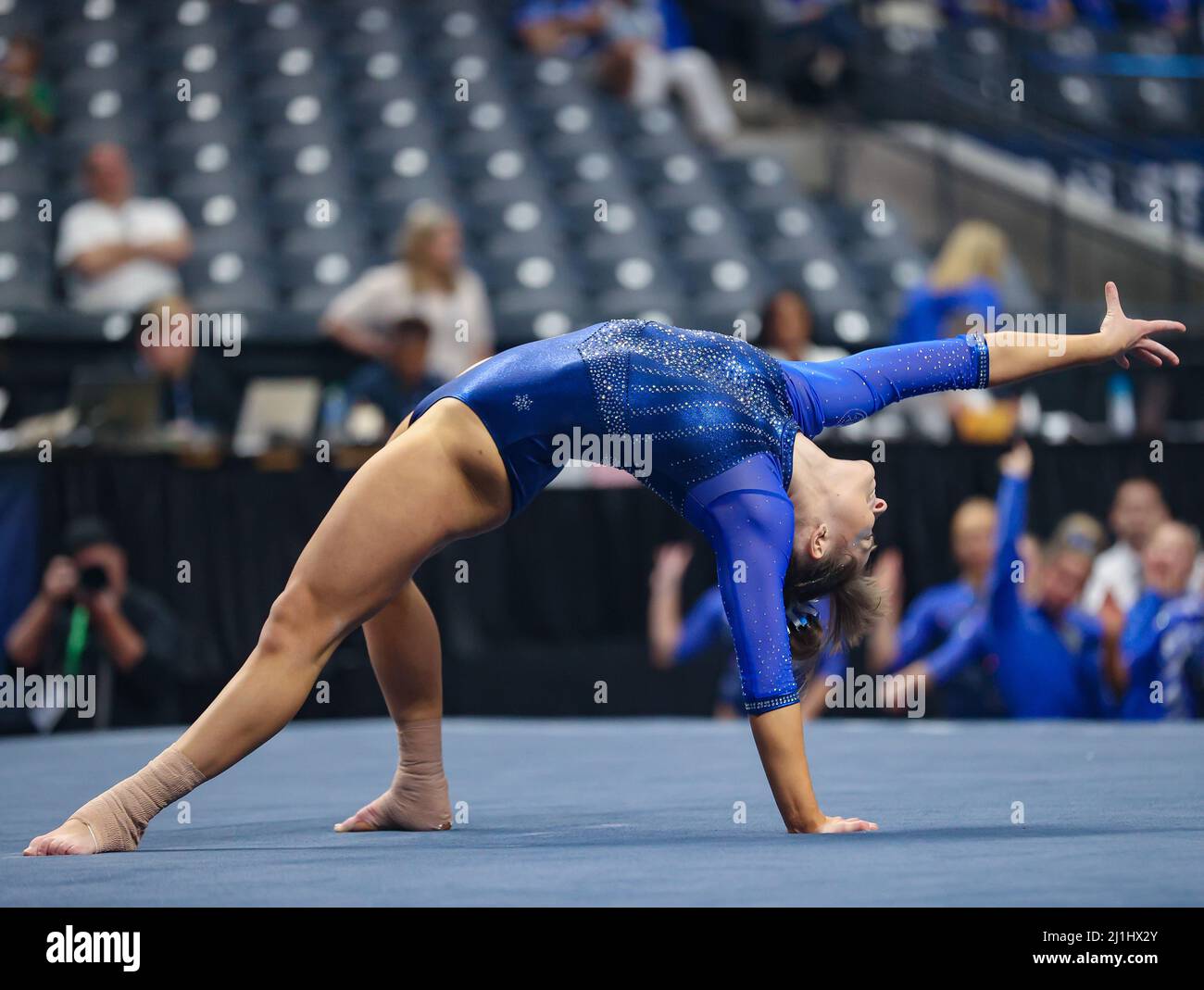 Anna haigis hi-res stock photography and images - Alamy