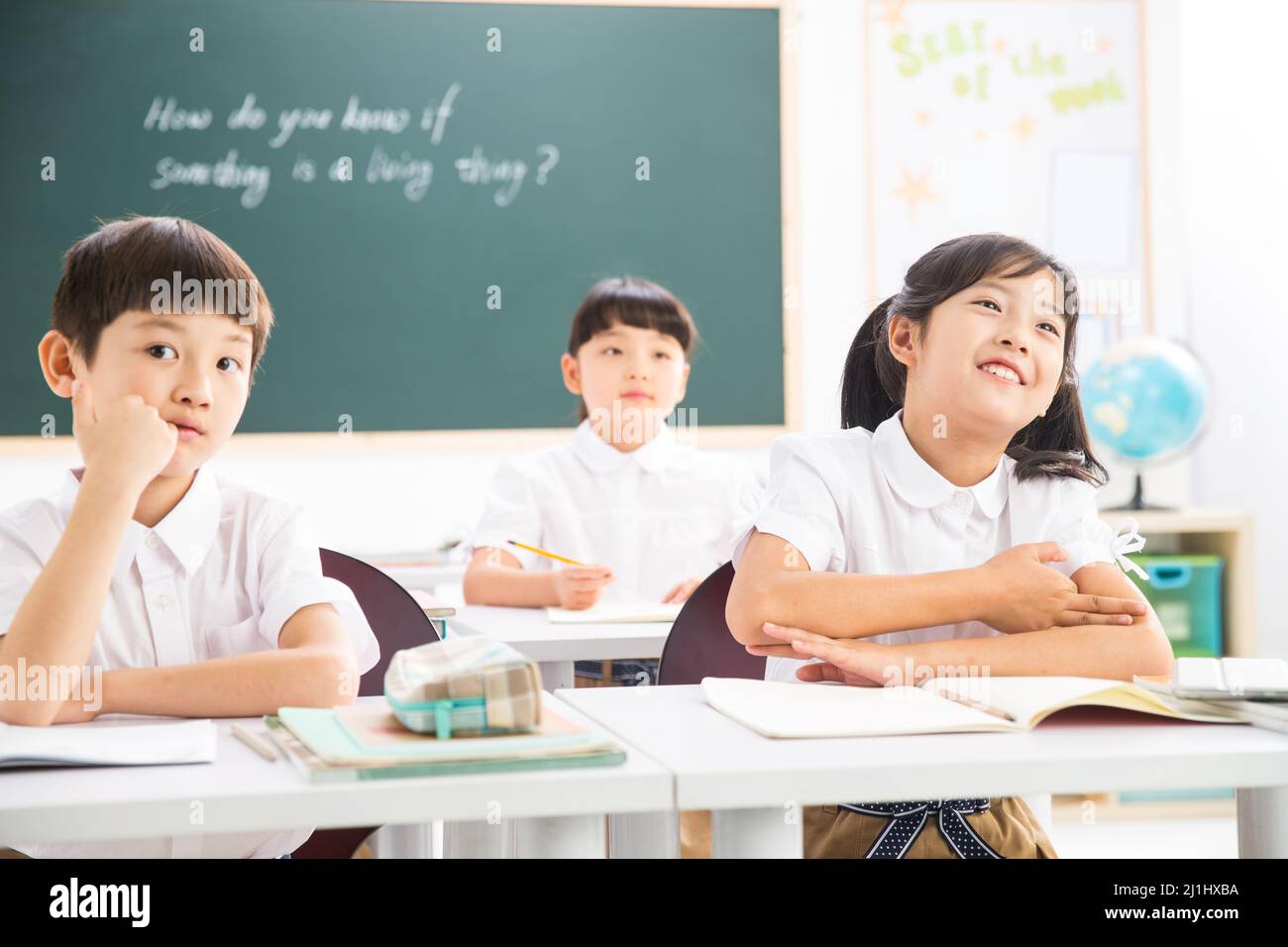 Elementary school students in the classroom learning Stock Photo - Alamy