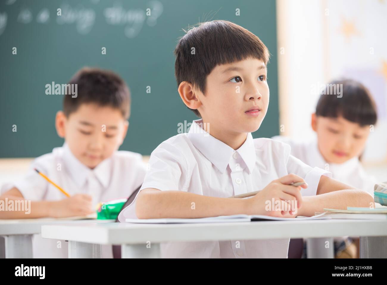 Elementary school students in the classroom learning Stock Photo - Alamy