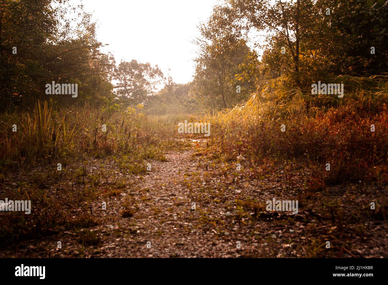 Straight view hi-res stock photography and images - Alamy