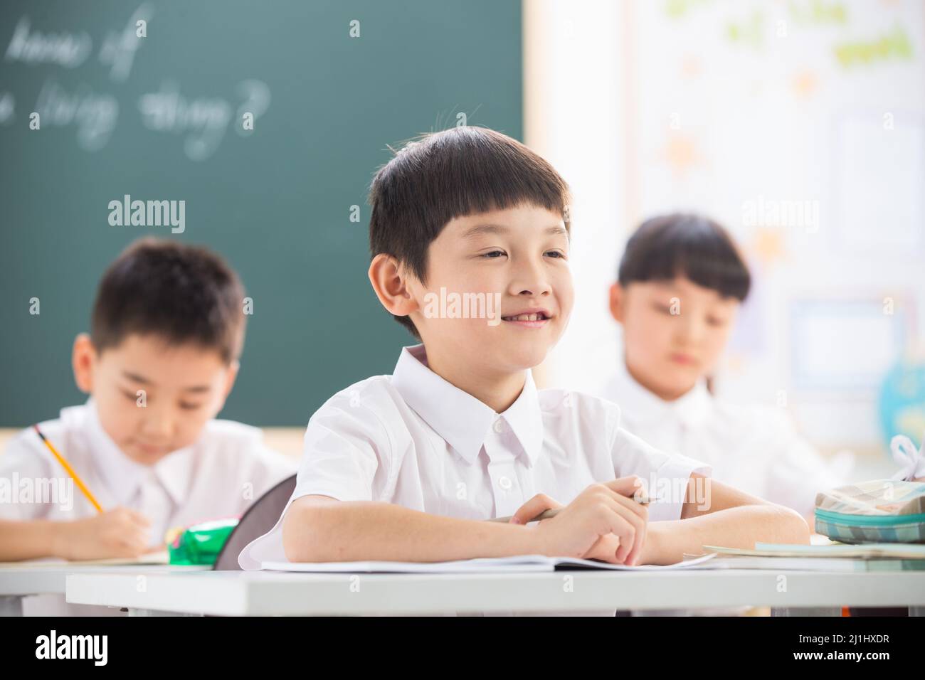 Elementary school students in the classroom learning Stock Photo - Alamy
