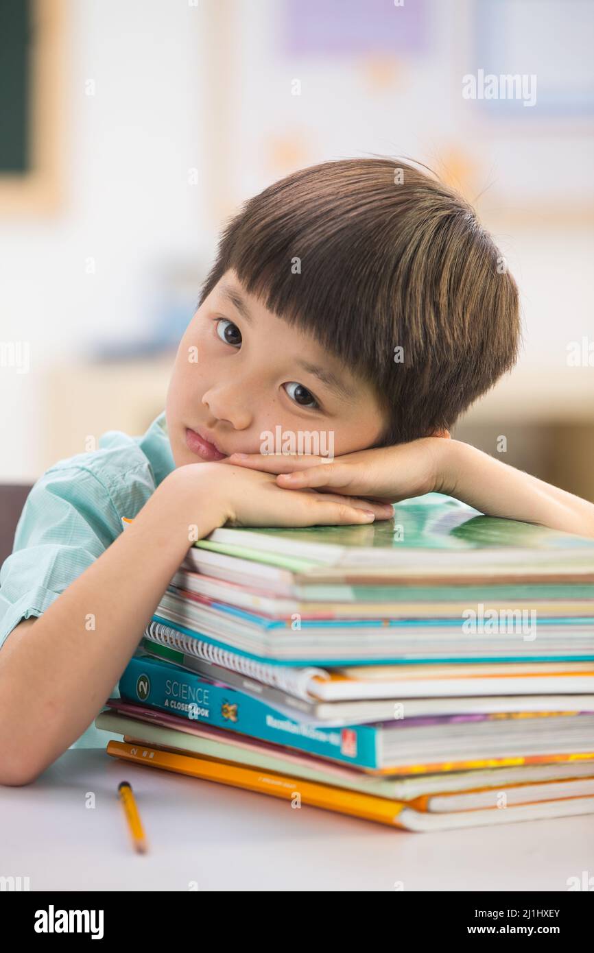 Elementary school students in the classroom Stock Photo - Alamy