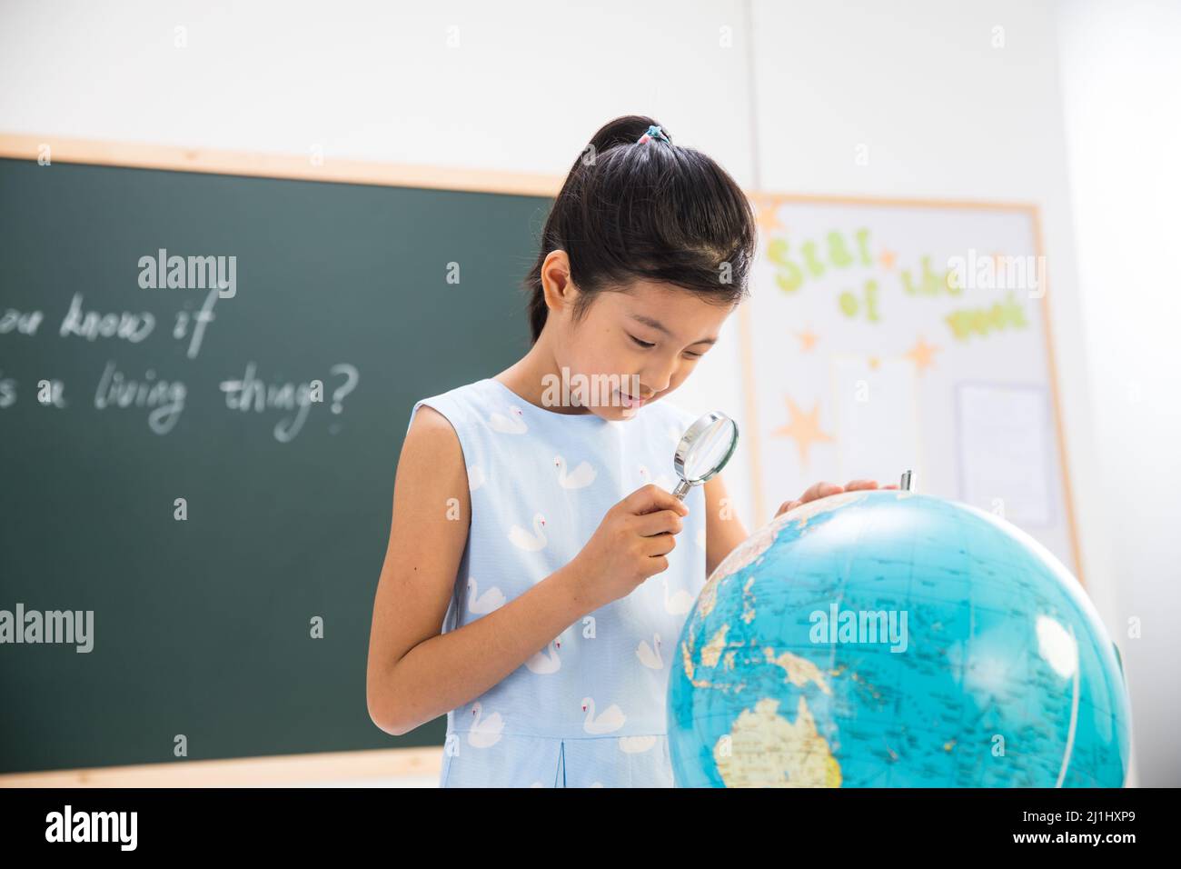 Primary school girls in the classroom Stock Photo - Alamy