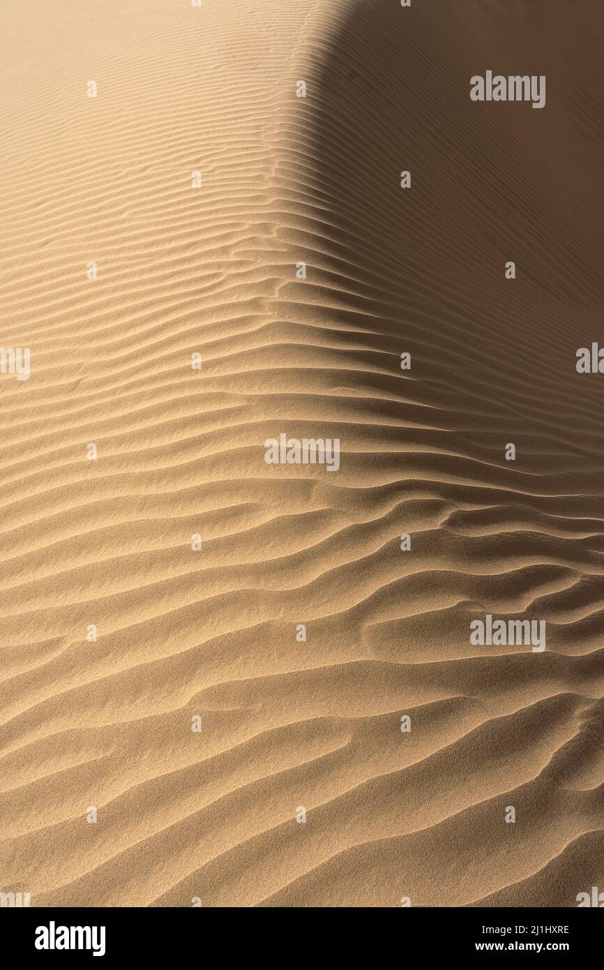 A vertical shot of sand texture in a desert Stock Photo - Alamy
