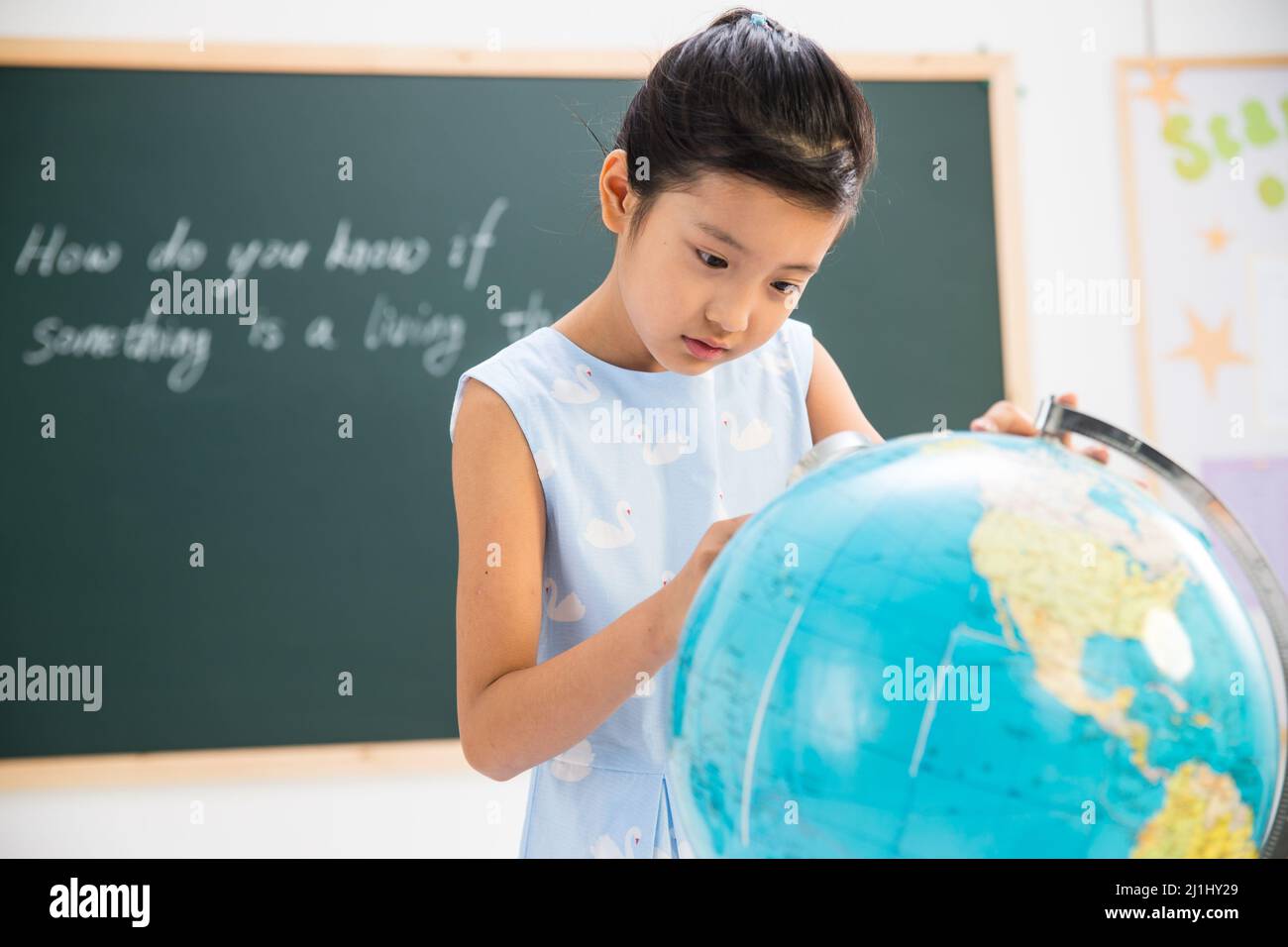 Primary school girls in the classroom Stock Photo - Alamy
