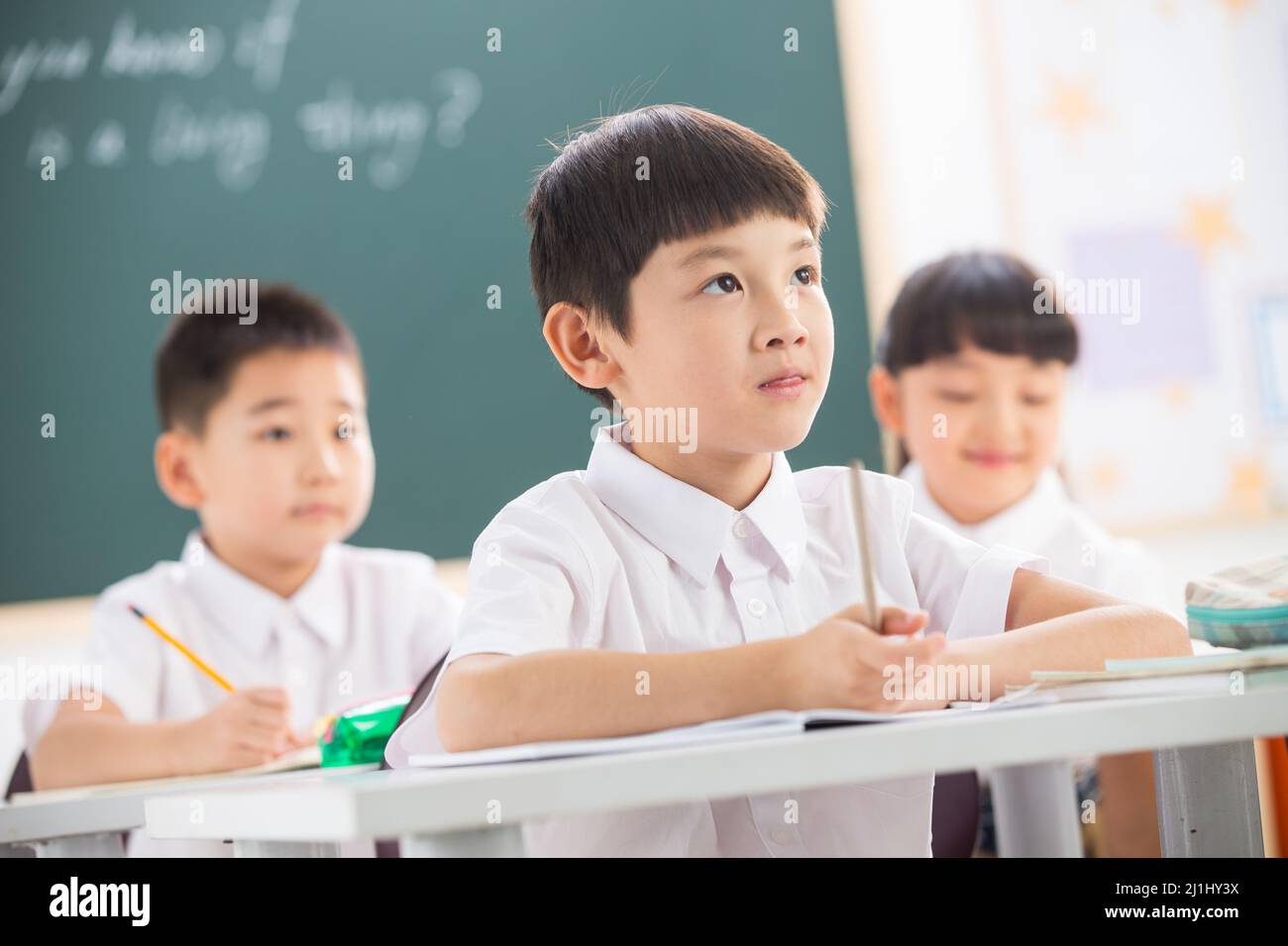 Elementary school students in the classroom learning Stock Photo - Alamy