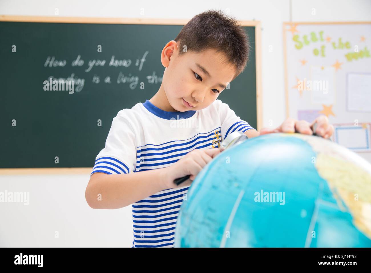 Primary school boy in the classroom Stock Photo - Alamy