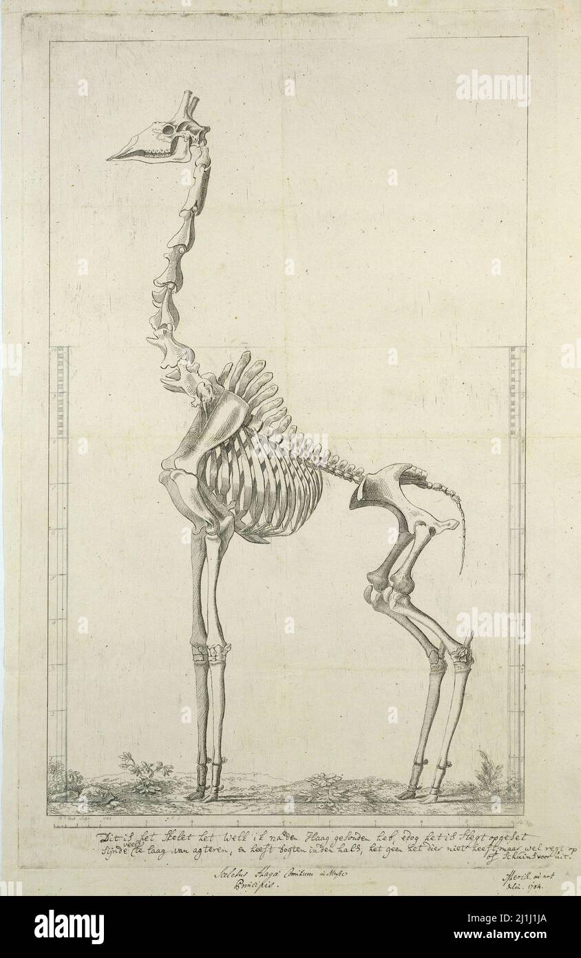 Skeleton illustration vintage hi-res stock photography and images - Alamy