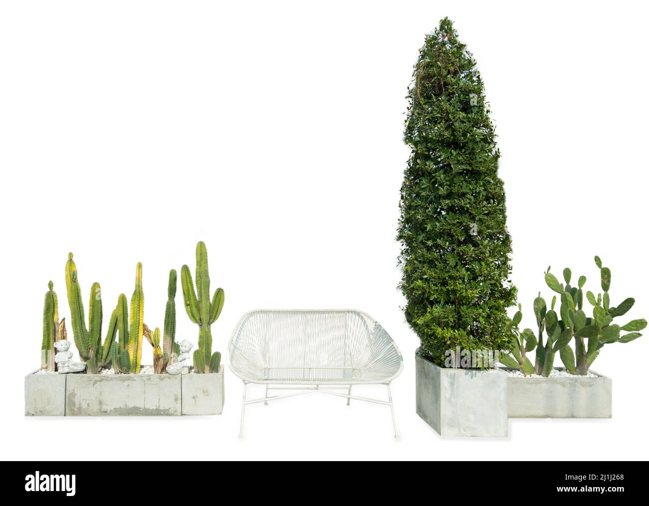 Selective focus pot plant Cut Out Stock Images & Pictures - Alamy