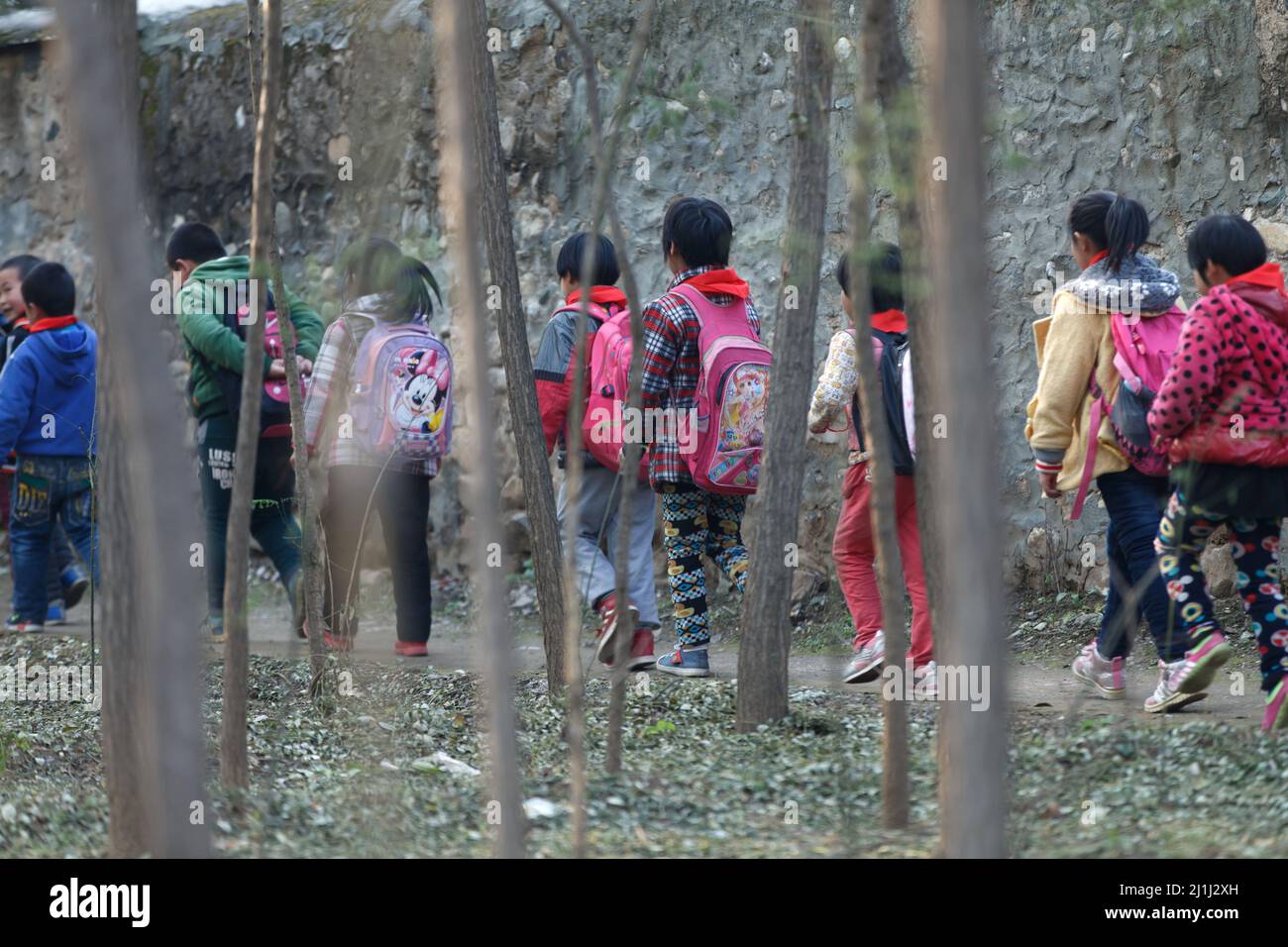 Outdoor activities for rural pupils Stock Photo - Alamy