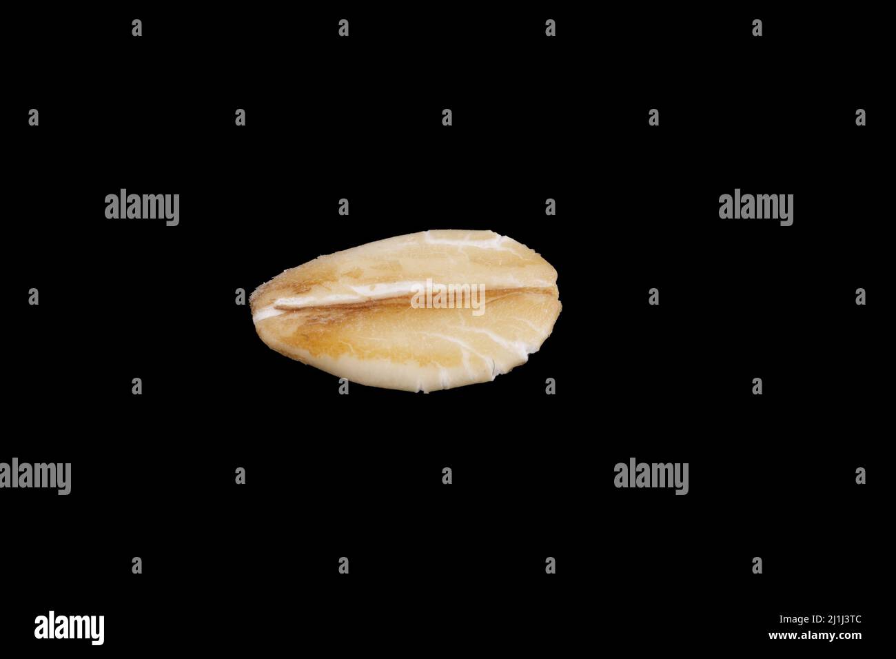 oat grain isolated on black background. High quality photo Stock Photo ...