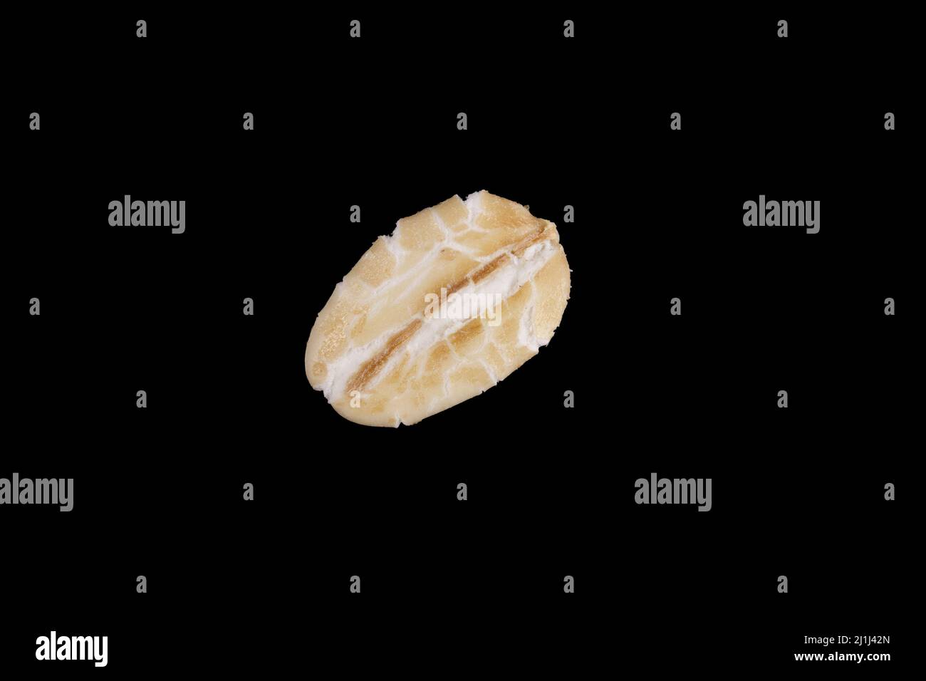 Oat seed isolated on hi-res stock photography and images - Alamy