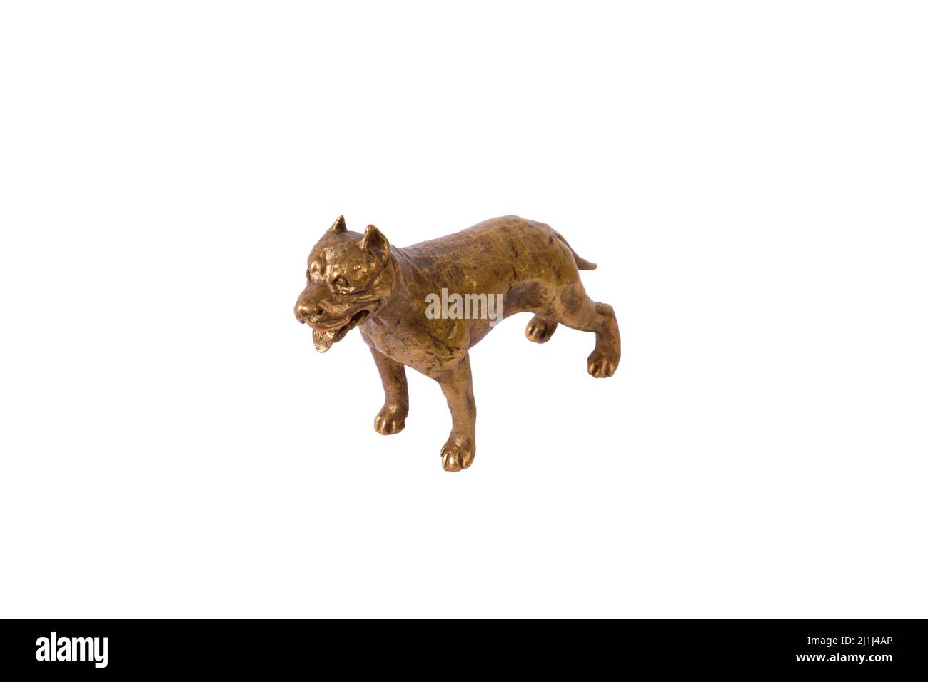 bronze pit bull terrier figurine isolated on white background. High ...