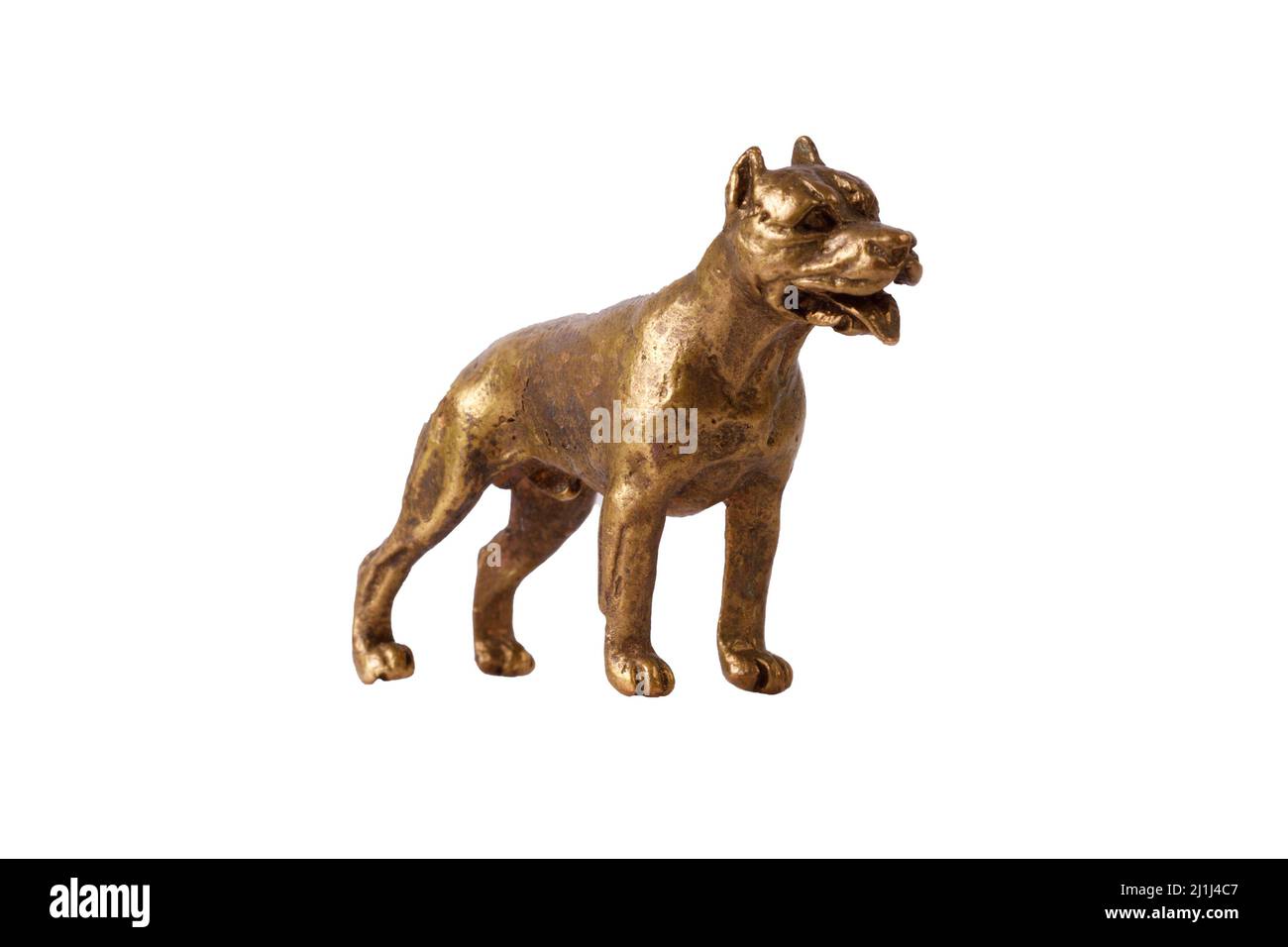 bronze pit bull terrier figurine isolated on white background. High ...
