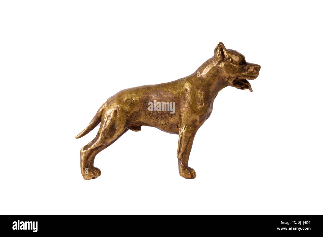bronze pit bull terrier figurine isolated on white background. High ...