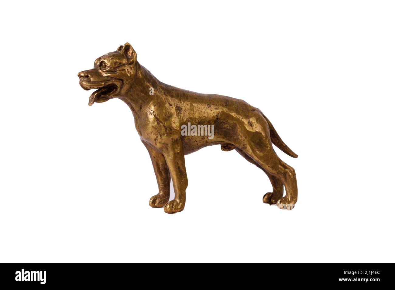 bronze pit bull terrier figurine isolated on white background. High ...