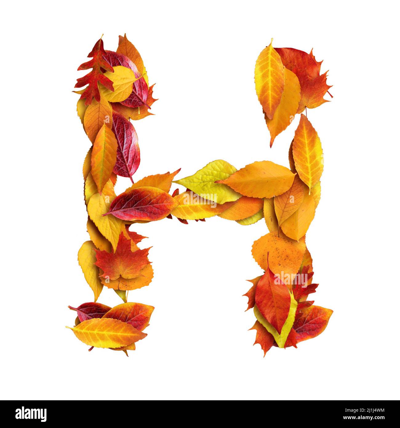 3d alphabet made of leaves, autumn, 3d render on white background ...