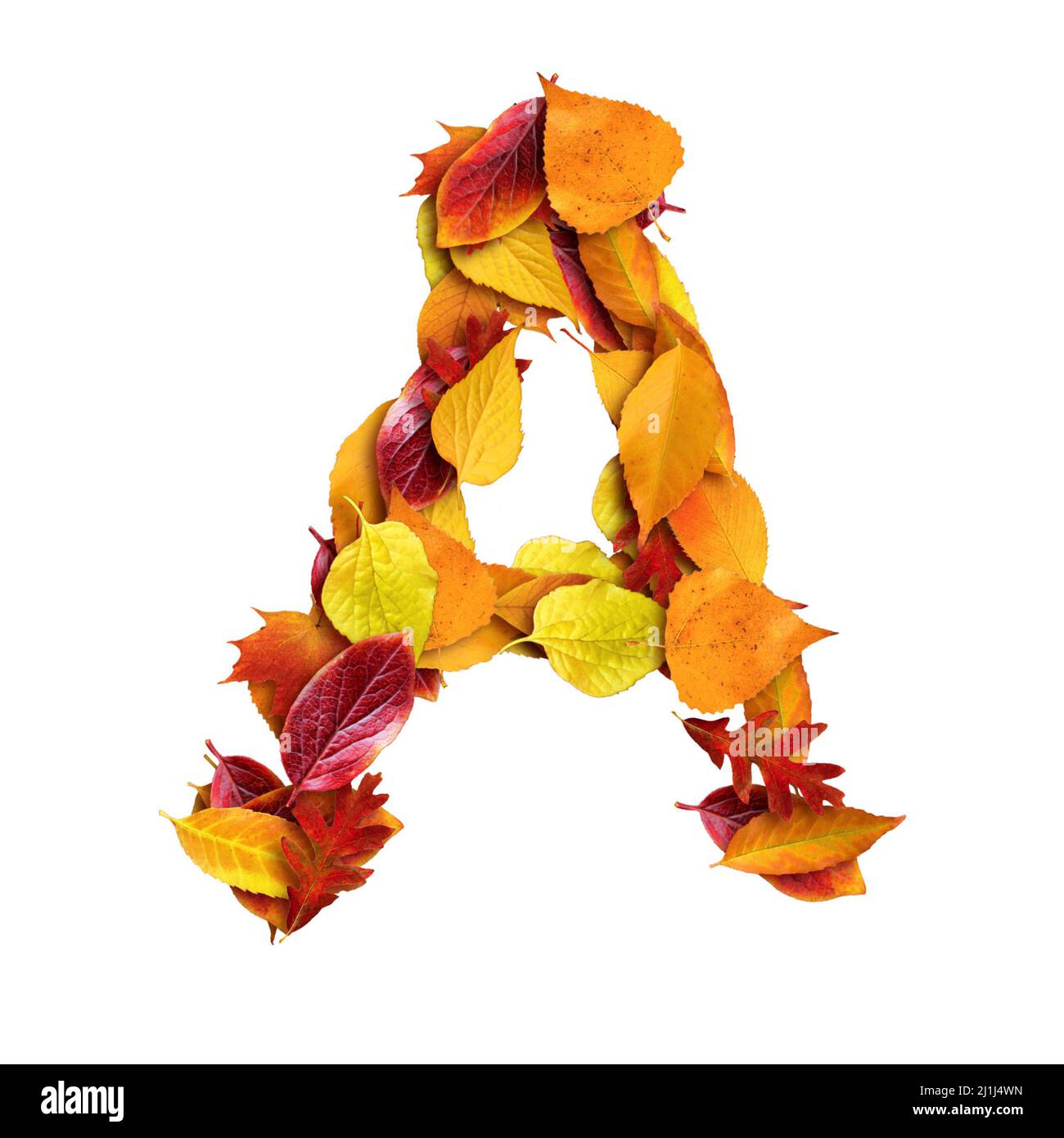 3d alphabet made of leaves, autumn, 3d render on white background ...