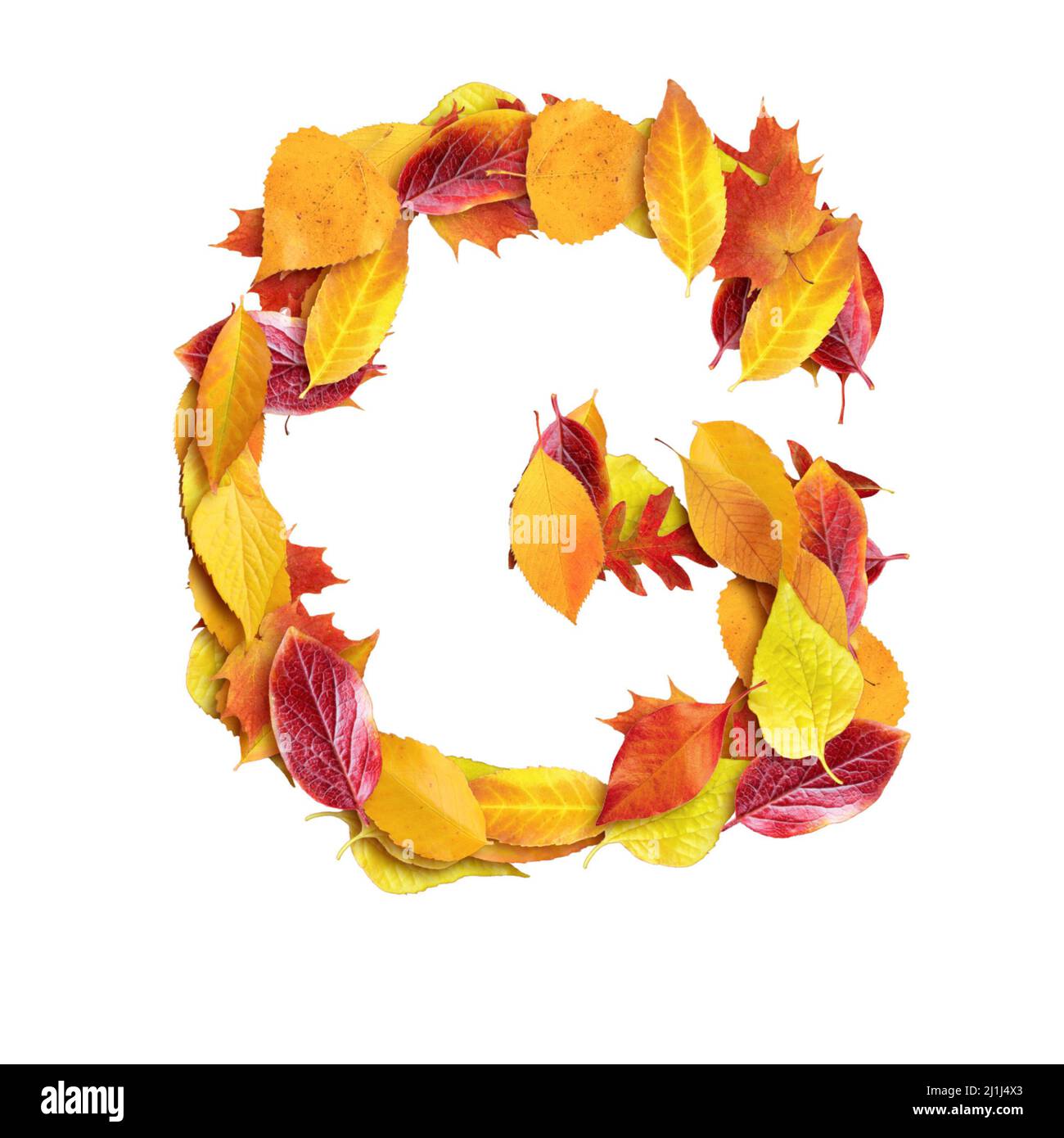 3d alphabet made of leaves, autumn, 3d render on white background ...