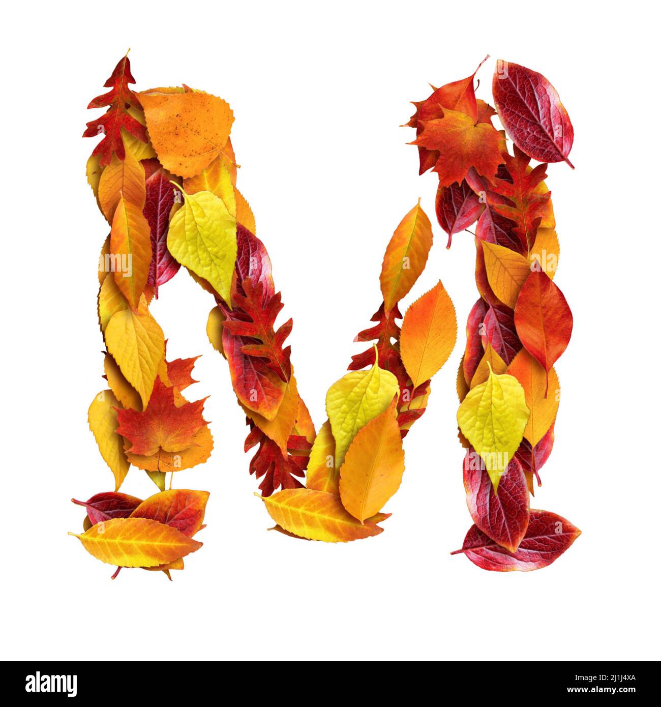 3d alphabet made of leaves, autumn, 3d render on white background ...