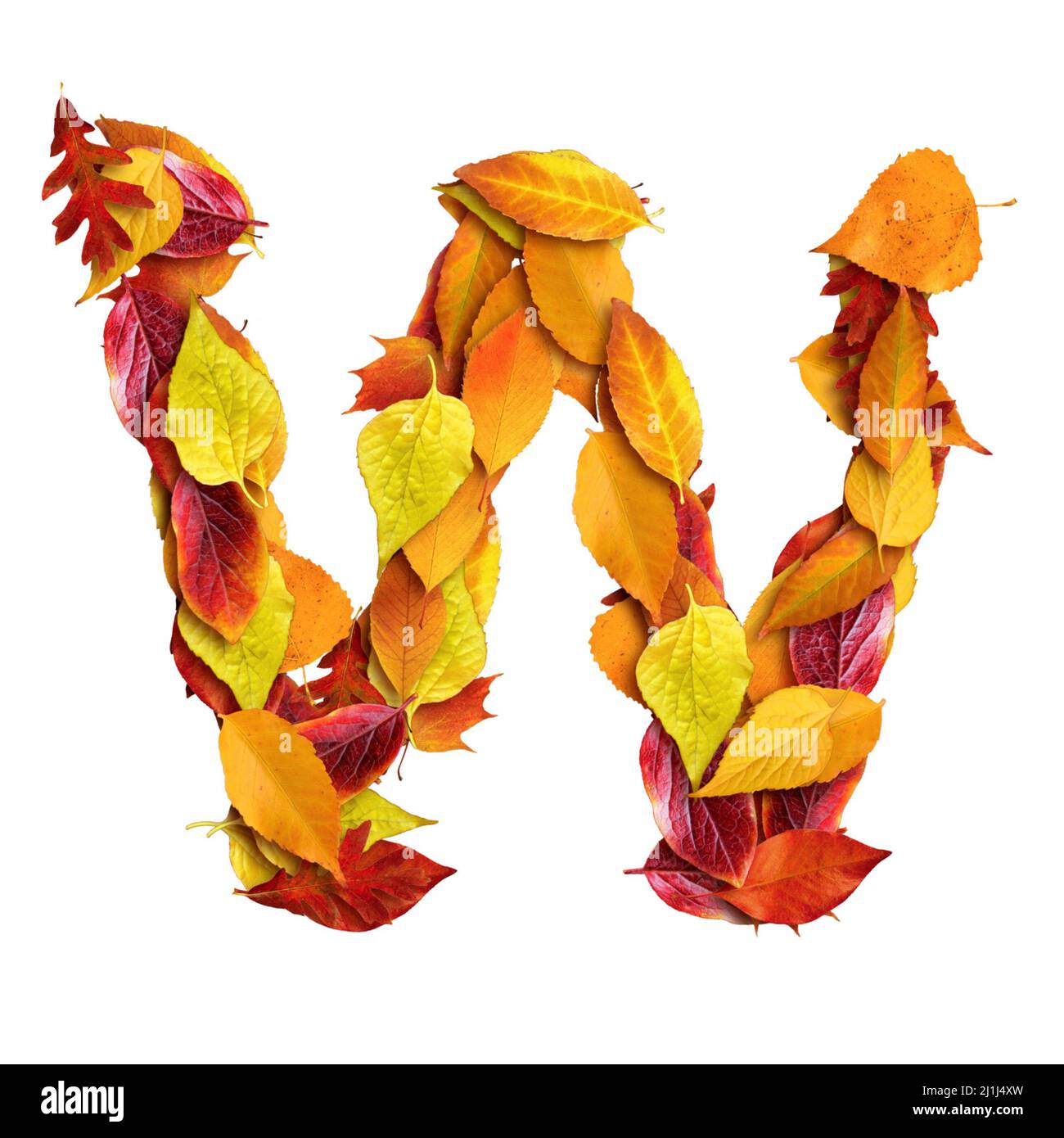 3d alphabet made of leaves, autumn, 3d render on white background ...
