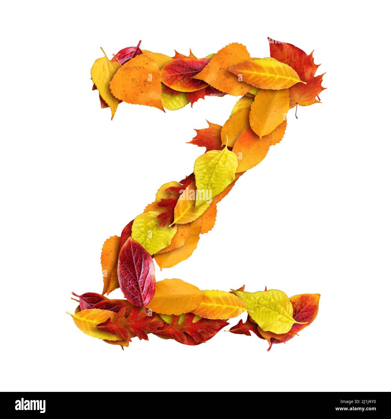 3d alphabet made of leaves, autumn, 3d render on white background ...