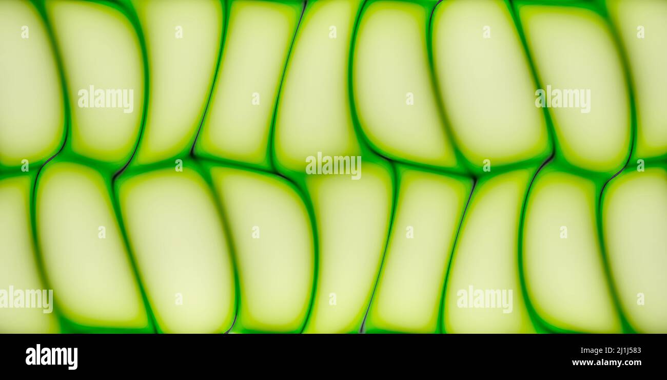 Biological tones light green and dark green wavy abstract background ...