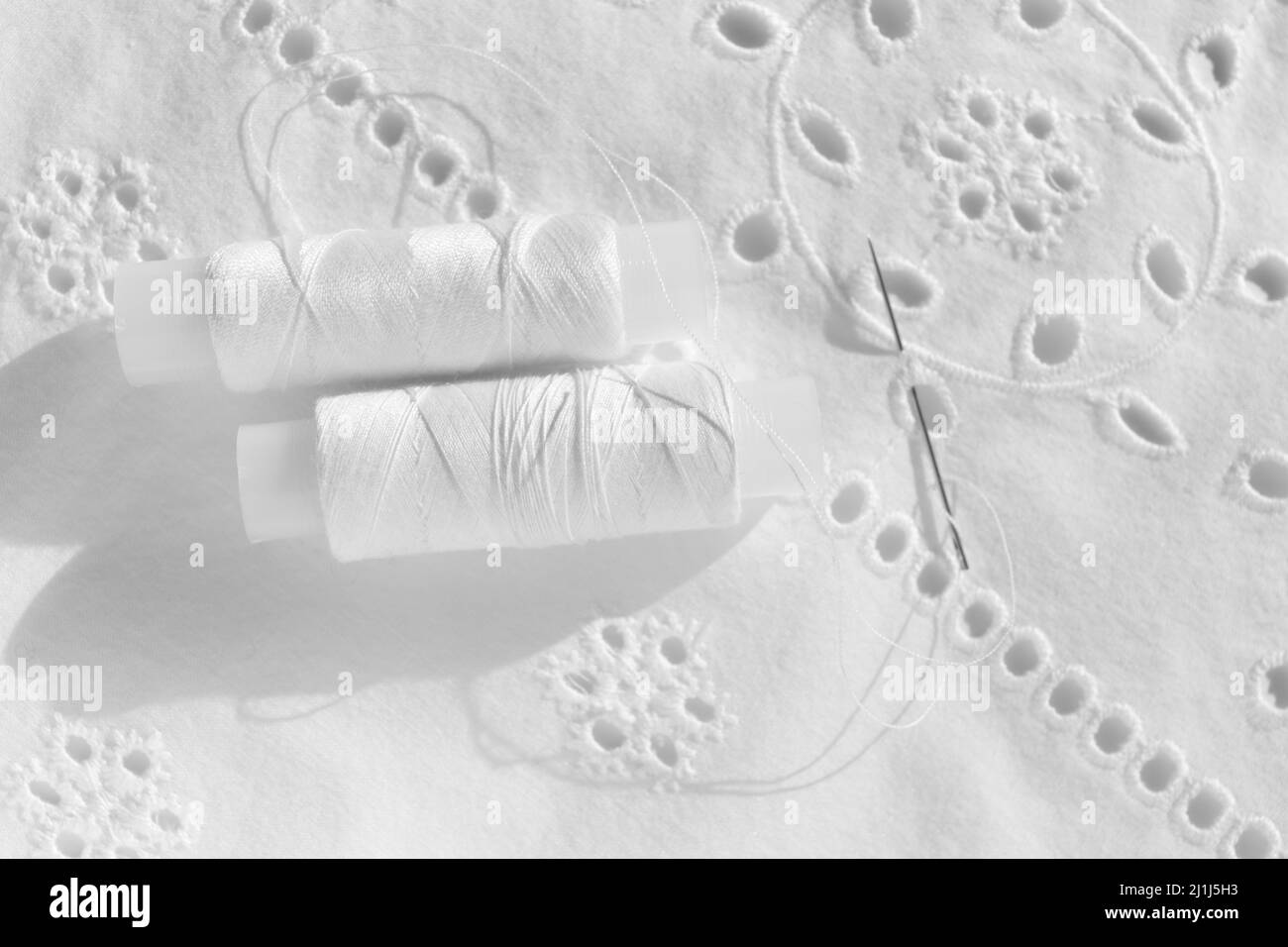 Stitch Black and White Stock Photos & Images - Alamy