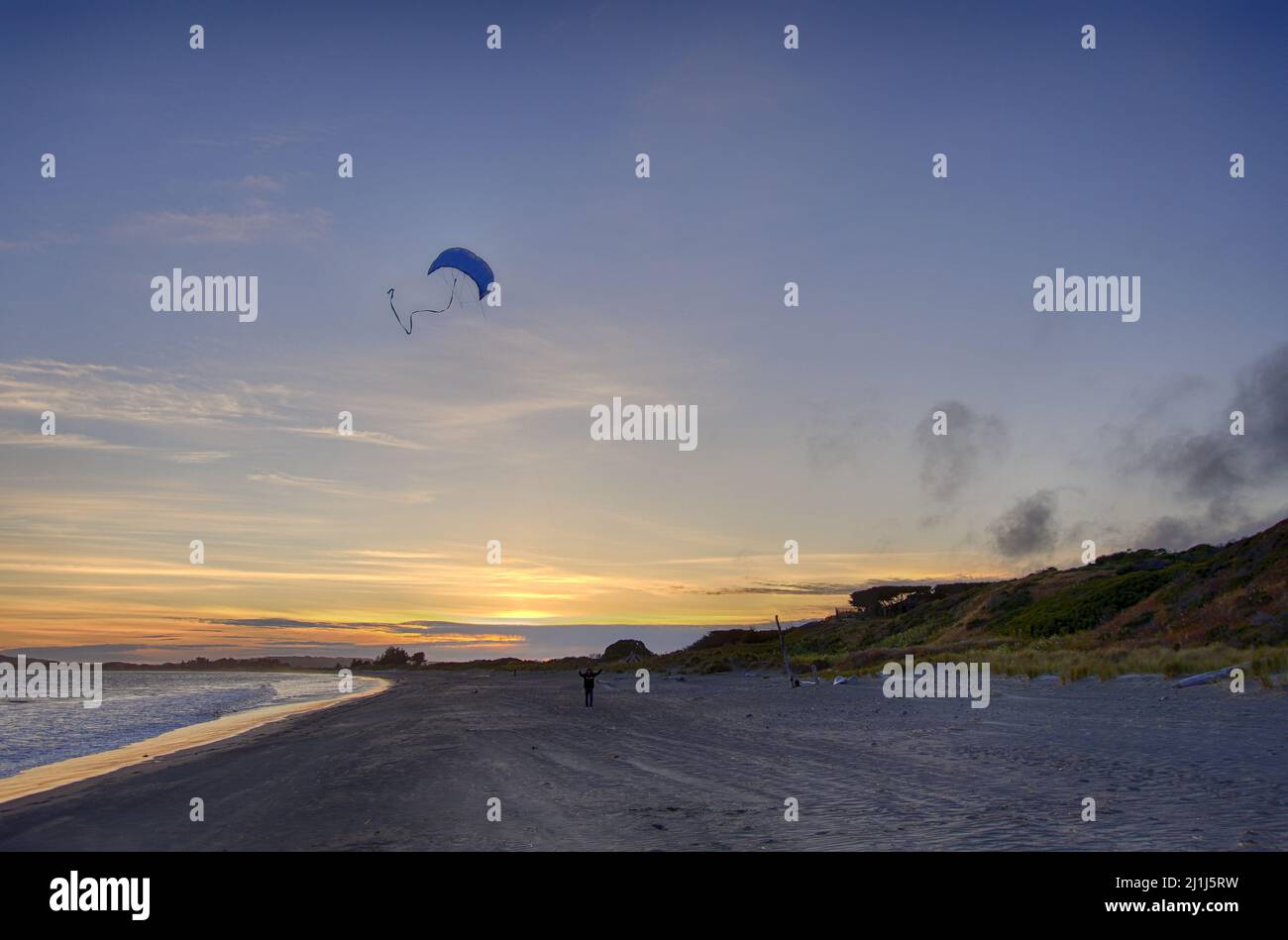 A beautiful scene of a blue Paraglider landing on the beach by the sea ...